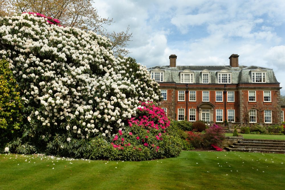 In conversation with Fitri and James Hay Racing's Golden Couple | Ccercle